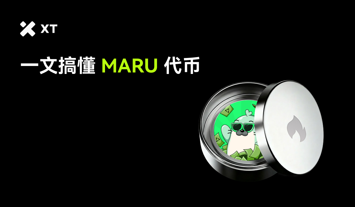 什么是edgeX Maru（$MARU）？来自Perp DEX的海豹吉祥物Meme币 – 帮助中心