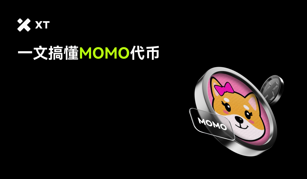 什么是 $MOMO？Bonk 的妹妹柴犬币，在Solana走红 – 帮助中心